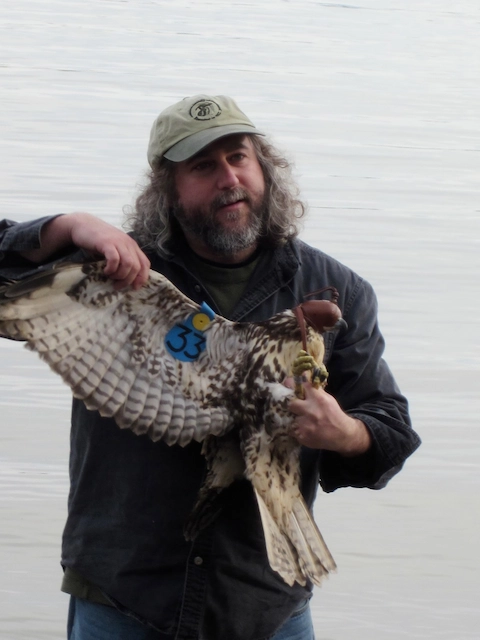 Bob Sallinger’s Legacy on Our Peninsula – Friends of Baltimore Woods