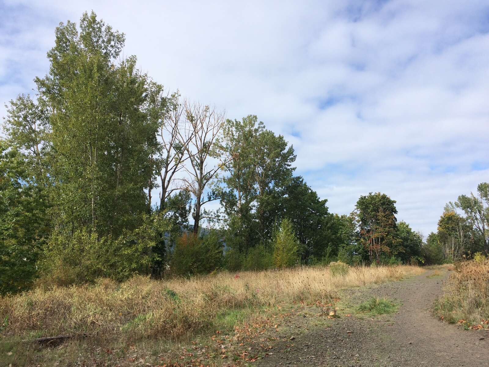 Lower Meadow Trail – Friends of Baltimore Woods