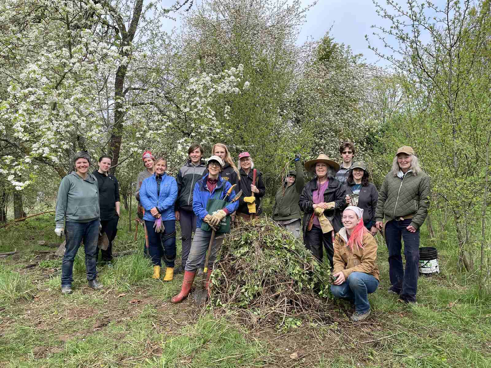 SOLVE volunteers Orchard weeding April 2025 – Friends of Baltimore Woods